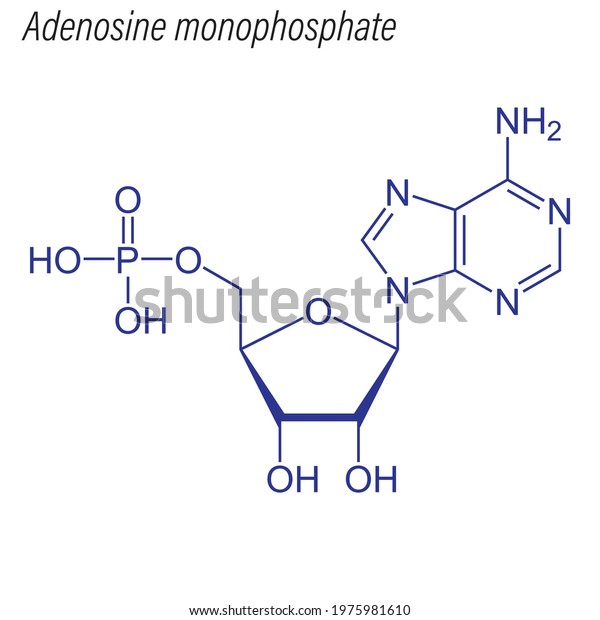 Vector Skeletal Formula Adenosine Monophosphate Drug Stock Vector ...