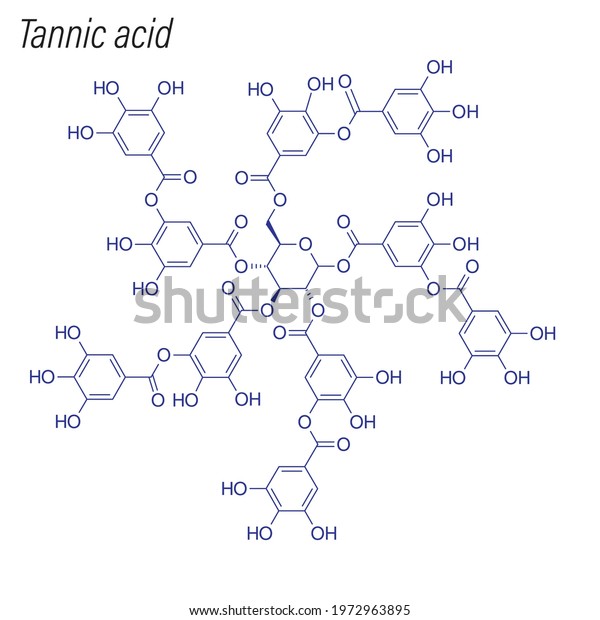 Vector Skeletal Formula Tannic Acid Drug Stock Vector (Royalty Free ...
