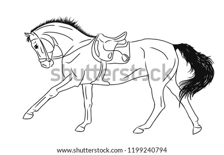 Vector Sketch Cantering Horse Stock Vector (Royalty Free) 1199240794 ...