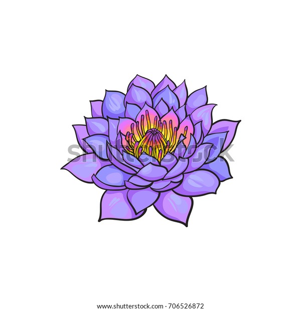 Vector Sketch Cartoon Lotus Flower Blossom Stock Vector (Royalty Free ...