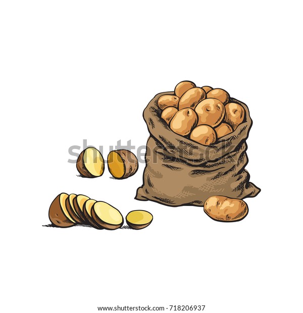 Vector Sketch Cartoon Ripe Raw Peeled Stock Vector (Royalty Free ...