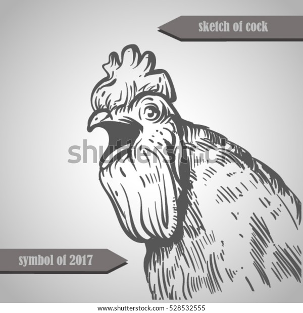 Vector Sketch Cock Symbol Yearengraved Roostersketch Stock Vector ...