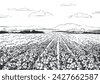 77,274 Cotton Field Royalty-Free Images, Stock Photos & Pictures ...