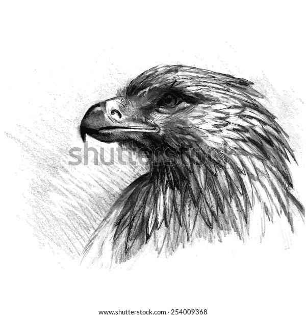 Vector Sketch Eagle Hand Draw Illustration Stock Vector (Royalty Free ...