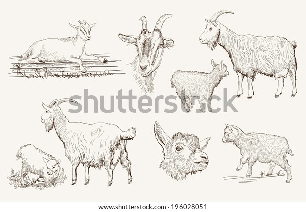 Vector Sketch Goat Made By Hand Stock Vector (Royalty Free) 196028051 ...