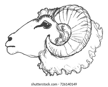 Vector Sketch Hand Drawn Illustration Ram Stock Vector (Royalty Free ...