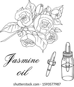 Vector Sketch Illustration Essential Oil Jasmine Stock Vector (Royalty ...