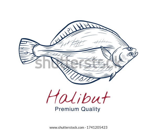 Vector Sketch Illustration Fresh Halibut Sea Stock Vector (Royalty Free ...