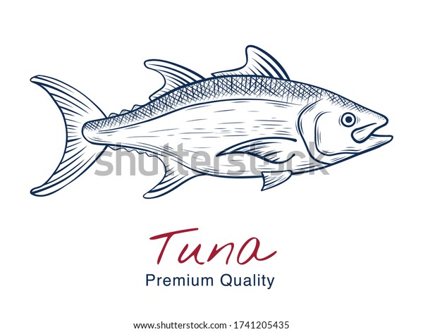 Vector Sketch Illustration Fresh Tuna Sea Stock Vector (Royalty Free ...