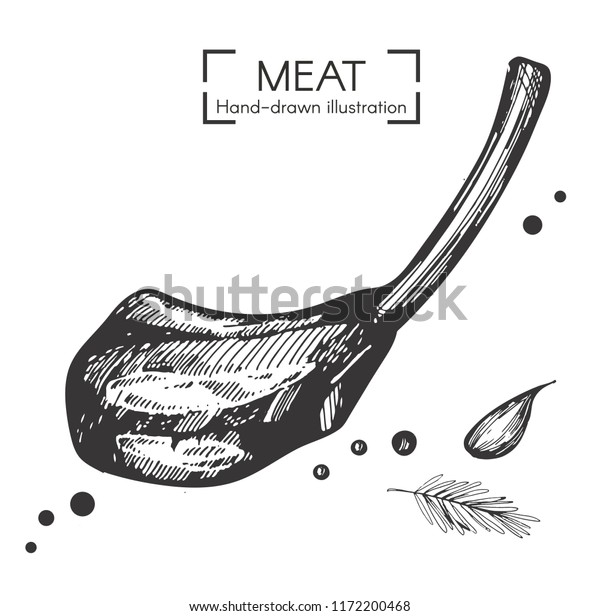 Vector Sketch Illustration Pork Brisket Stock Vector (Royalty Free ...