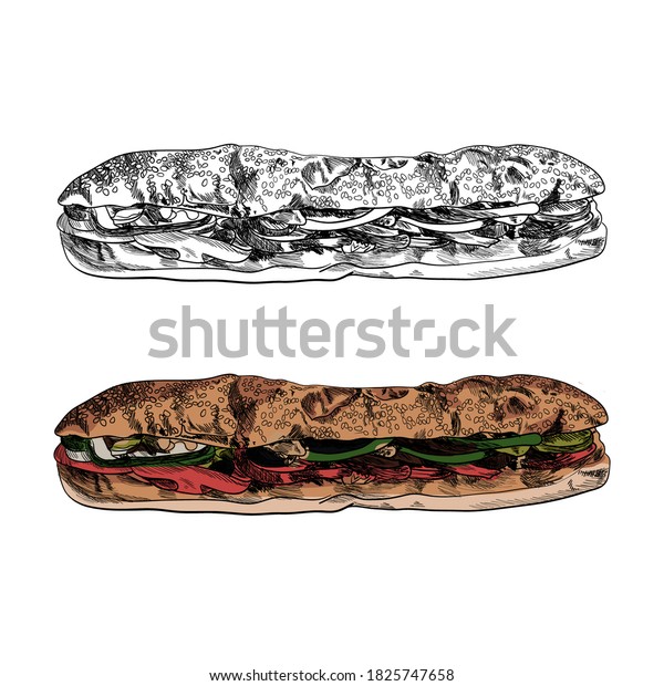 Vector Sketched Drawings Long Sub Sandwich Stock Vector (Royalty Free ...
