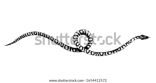 Vector Snakes Pencil Drawing Vintage Style Stock Vector (Royalty Free ...