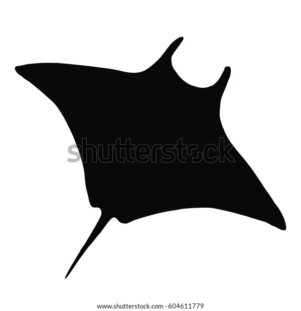 Vector Stingray Silhouette Ray Fish Illustration 库存矢量图（免版税）604611779 ...