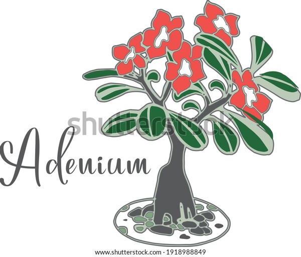 Vector Stylized Drawing Adenium Many Bright Stock Vector (Royalty Free ...