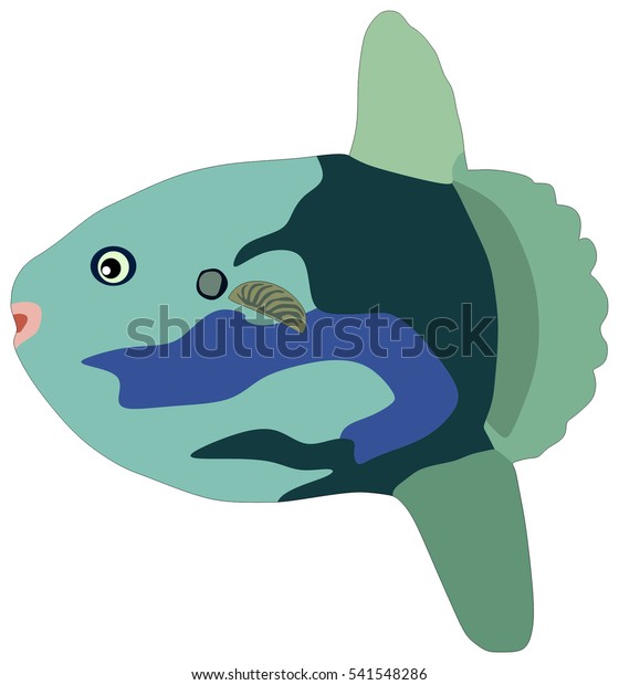 Vector Sunfish Fish Lives Ocean Under Stock Vector (Royalty Free) 541548286