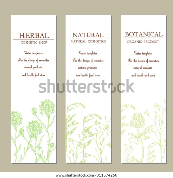 Vector Template Herbal Label Handdraw Wild Stock Vector (Royalty Free ...