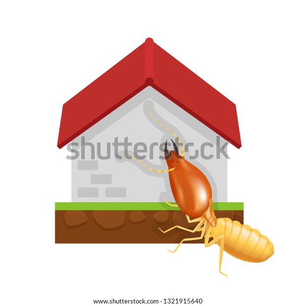 Vector Termite Cement House Isolated On Stock Vector (Royalty Free ...