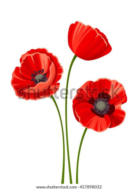 Vector Three Red Poppies Stems Isolated Stock Vector (Royalty Free ...