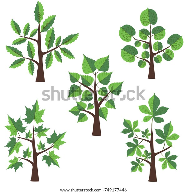 Vector Tree Clip Art Graphic Trees Stock Vector (Royalty Free ...