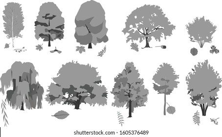 2,007 Hazelnut Tree Vector Images, Stock Photos & Vectors | Shutterstock