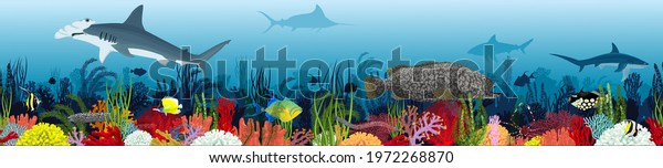 Vector Underwater Coral Reef Horizontal Seamless: vector de stock ...