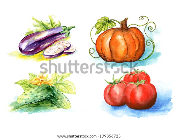 Vector Vegetables Painting On White Isolated Stock Vector (Royalty Free ...