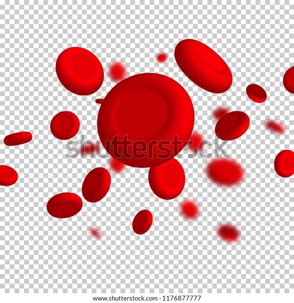 Vector Vein Blood Red Cell Biology Stock Vector (Royalty Free) 1176877777