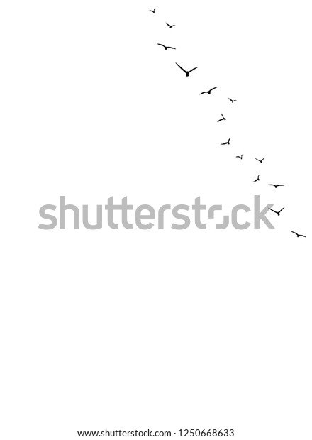 Vector Vertical Background Flying Birds On: เวกเตอร์สต็อก (ปลอดค่า ...