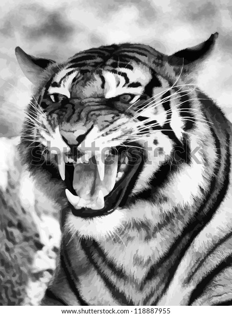 Vector Very Angry Growling Tiger Black Stock Vector (Royalty Free ...