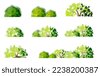 1,352 Architectural Tree Elevation Vectors Royalty-Free Images, Stock ...