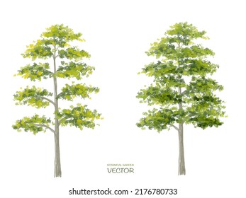 Vector Watercolor Tree Side View Isolated Stock Vector (Royalty Free ...