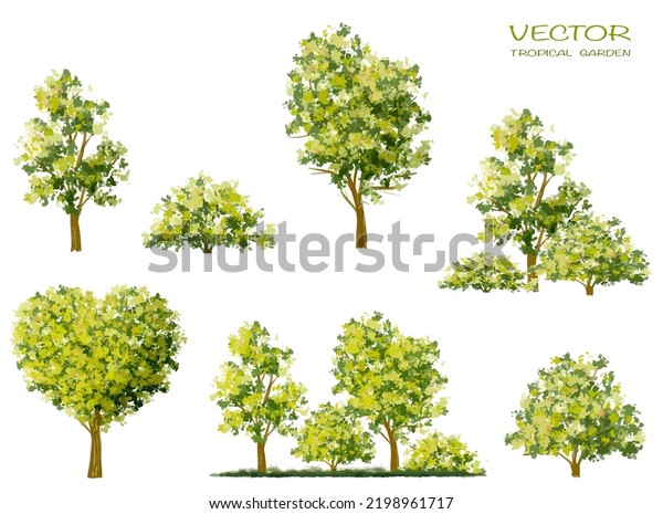 Vector Watercolor Tree Side View Isolated Stock Vector (Royalty Free ...