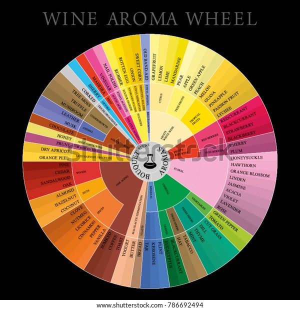 Vector Wine Aroma Wheel On Black Stok Vektör (Telifsiz) 786692494