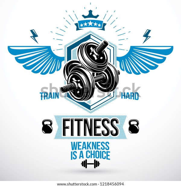 Vector Winged Graphic Sign Created Disc Stock Vector (Royalty Free ...