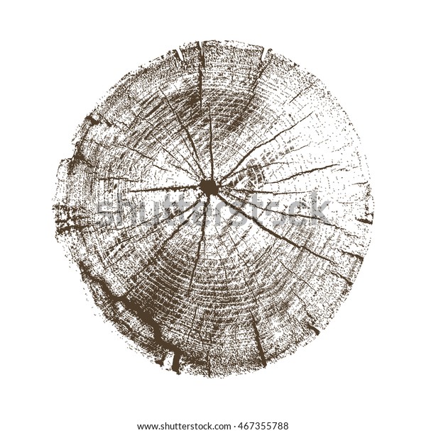 Vector Wood Tree Rings Aged Texture Cracked Slice Cross Section Alpha ...