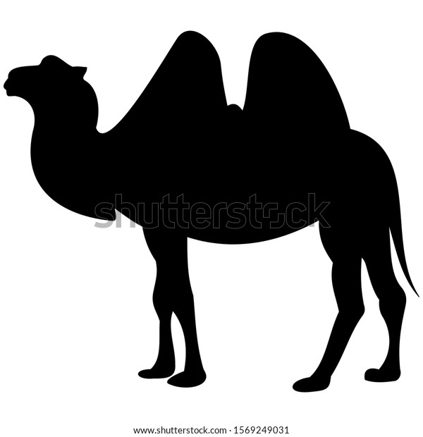 Vectorgraphic Illustration Camel Profile View Isolated Stock Vector ...