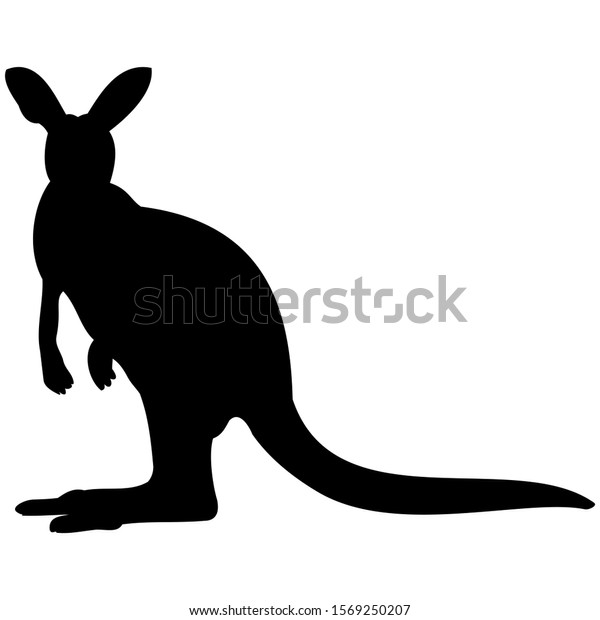 Vectorgraphic Illustration Kangaroo Profile View Isolated 스톡 벡터(로열티 프리 ...