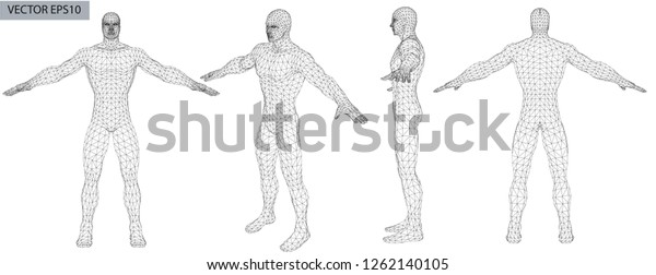 Vectorstrong Healthy Human Body Standing 3d Stock Vector (Royalty Free ...