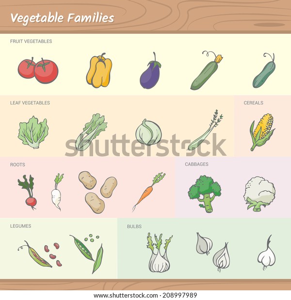 Vegetable Families Stock Vector (Royalty Free) 208997989