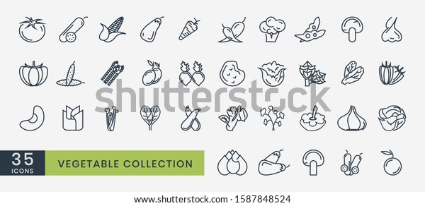 Vegetable Icon Collection Web Symbols Minimal Stock Vector (Royalty ...