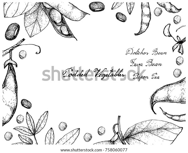 Vegetable Illustration Frame Hand Drawn Sketch Stock Vector (Royalty ...