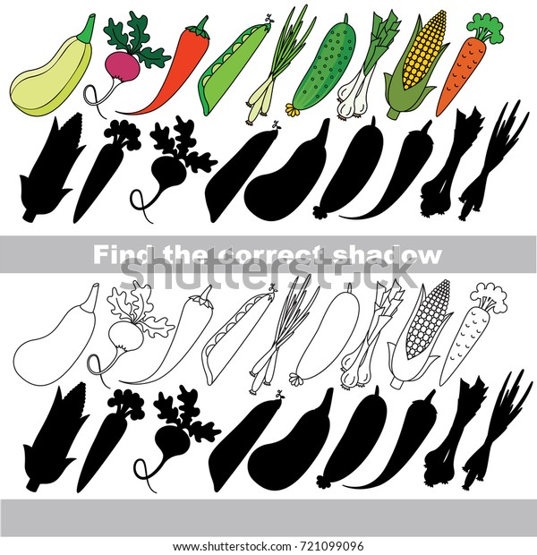 Vegetable Set Different Shadows Find Correct Stock Vector (Royalty Free ...
