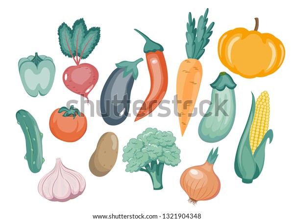 Vegetable Set Vector Illustration Different Vegetables Stock Vector ...