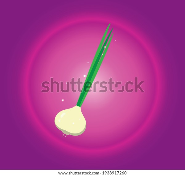 Vegetables Garlic Chives Vector Image Pink Stock Vector (Royalty Free ...