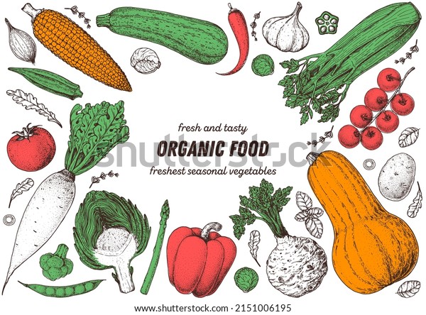 Vegetables Hand Drawn Illustration Top View: เวกเตอร์สต็อก (ปลอดค่า ...