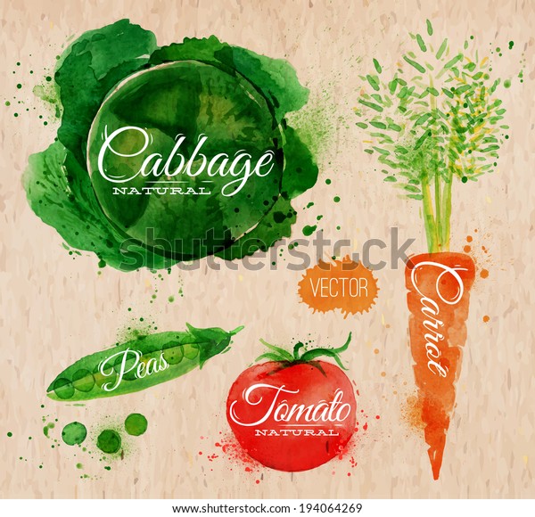 Vegetables Set Drawn Watercolor Blots Stains Stock Vector (Royalty Free ...