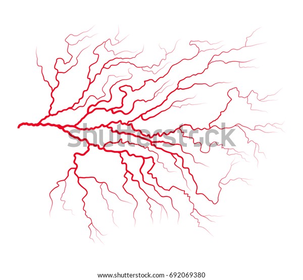 Vein Blood System Vector Symbol Icon Stock Vector (Royalty Free ...