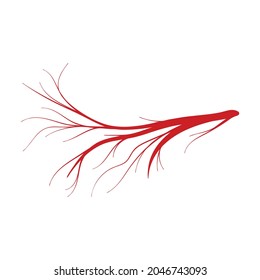 Vein Human Vector Cartoon Icon Vector Stock Vector (Royalty Free ...