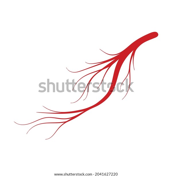Vein Human Vector Cartoon Icon Vector: vetor stock (livre de direitos ...