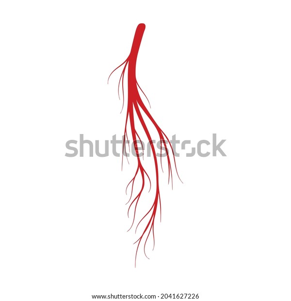 Vein Human Vector Cartoon Icon Vector Stock Vector (Royalty Free ...